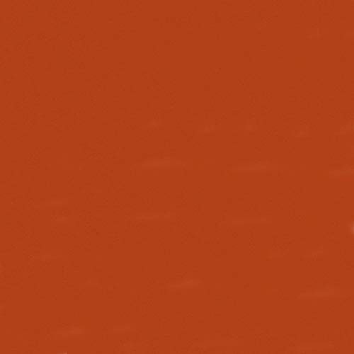 Burnt Orange Cardstock - 12 x 12 inch - 65Lb Cover - 25 Sheets