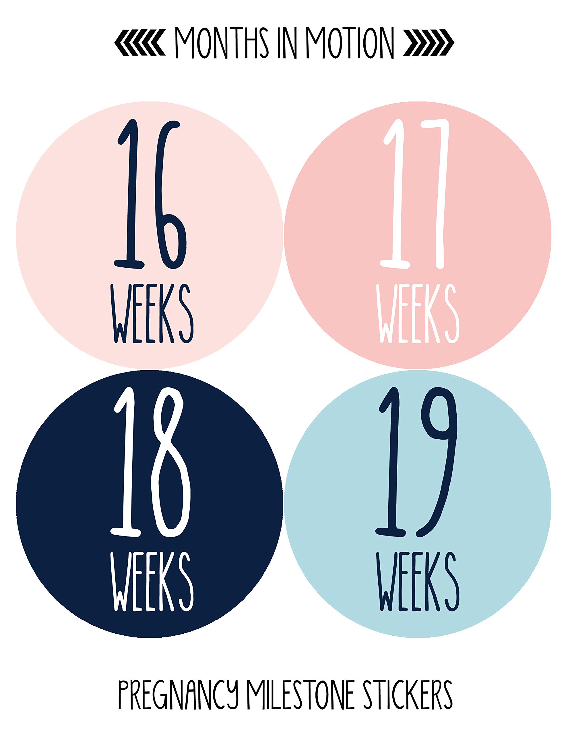 Months In Motion Weekly Pregnancy Growth Stickers | Week to Week Pregnant Expecting Photo Prop | Maternity Keepsake | Baby Bump | Weekly Stickers (Set of 36 Stickers)