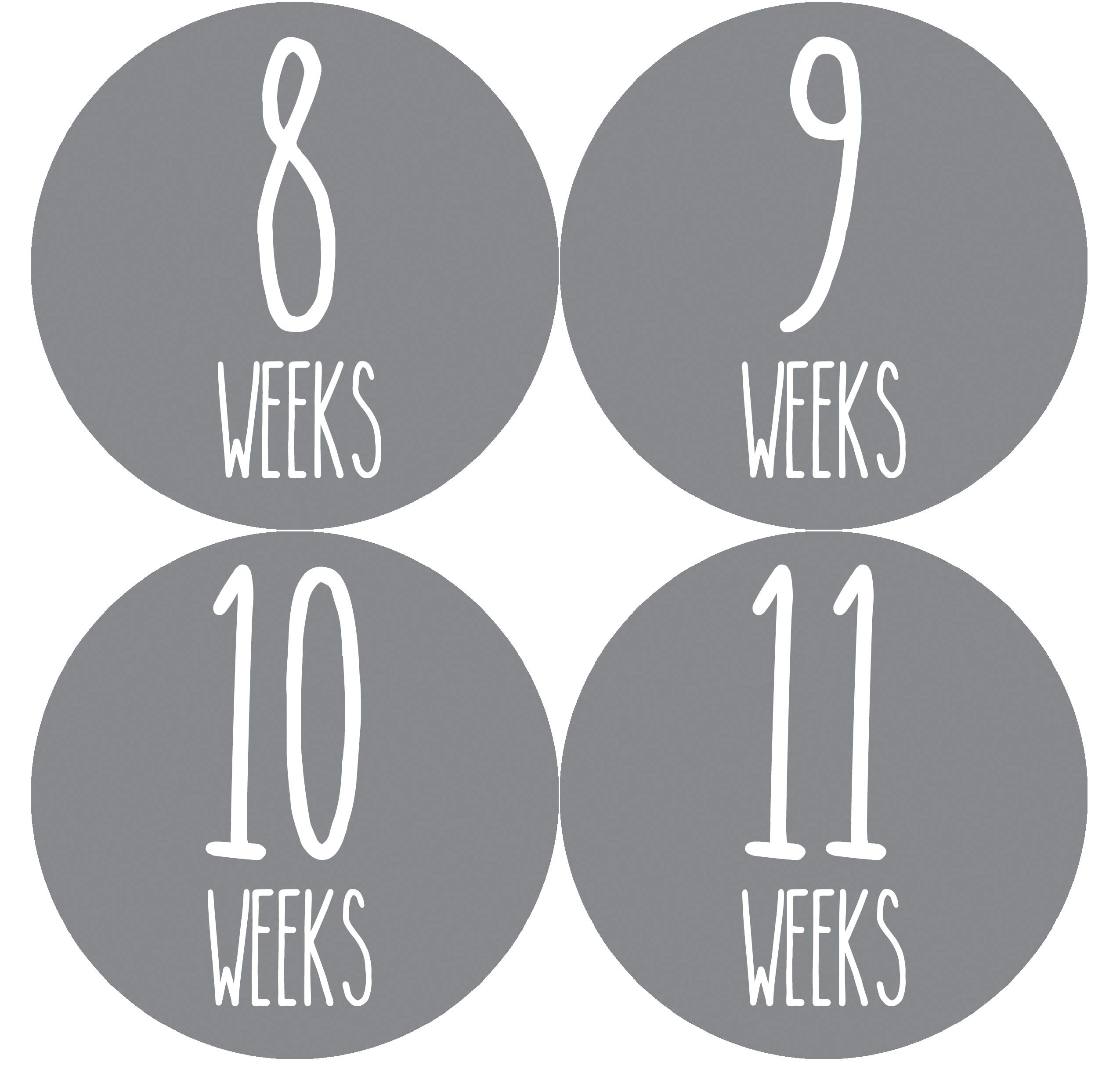 Months In Motion Weekly Pregnancy Growth Sticker | Week to Week Pregnant Expecting Photo Prop | Maternity Keepsake | Baby Bump | Weekly Stickers Photo (Set of 36 Stickers)
