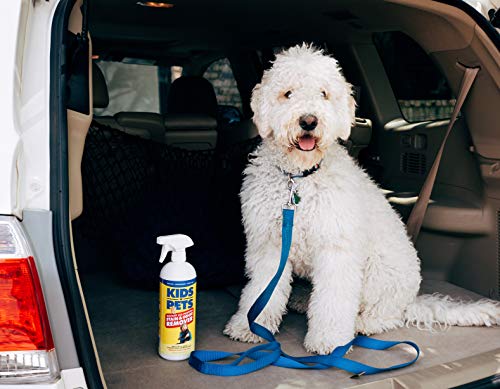 KIDS 'N' PETS - Instant All-Purpose Stain & Odor Remover β 27 fl oz - Permanently Eliminates Tough Stains & Odors β Even Urine Odors - No Harsh Chemicals, Non-Toxic & Child Safe, Multi-Color