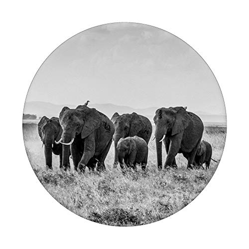 Elephants PopSockets PopGrip: Swappable Grip for Phones & Tablets