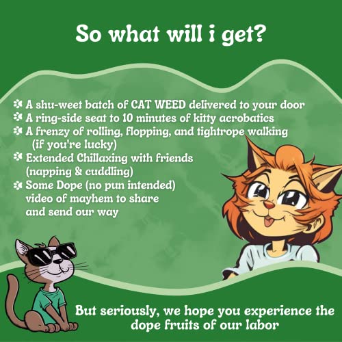 Cat Weed Premium Catnip - All Natural - Maximum Potency Cat Nip - Sprinkle On Your Kittens Favorite Toy Scratch Pad Or Other Refillable Cat Toys - Your Kitty Will Love You