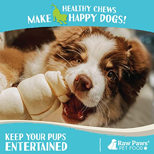 Raw Paws 10-inch Retriever Beef Cheek Rolls for Dogs, 4-ct - Packed in USA - Safe Rawhide Alternative Dog Chews - Free-Range Cow Cheek Rolls for Dogs - Retriever Rolls for Large Dogs