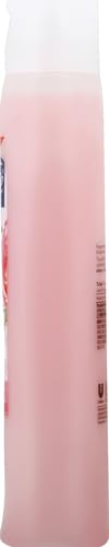 Suave Essentials Moisturizing Body Wash Aloe & Rosewater Moisturizes Better than Soap Bars 15 oz