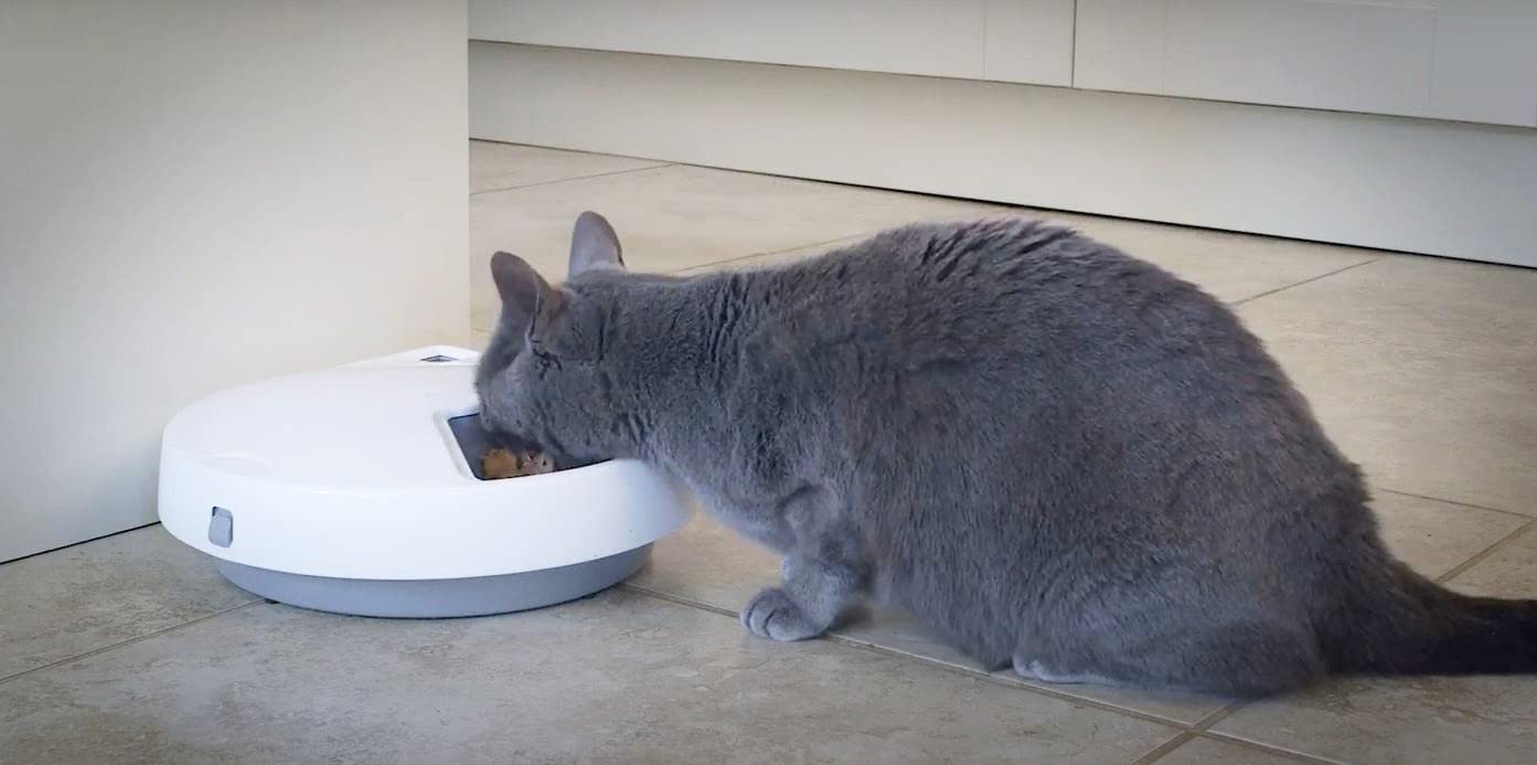 Cat Mate C500 - 5 Meal Digital Automatic Feeder with Ice Packs for Cats and Small Dogs