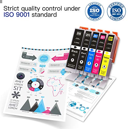 Arthur Imaging Compatible Ink Cartridge Replacement for 250XL 251XL (3 Large Black, 3 Small Black, 3 Cyan, 3 Yellow, 3 Magenta, 15-Pack)