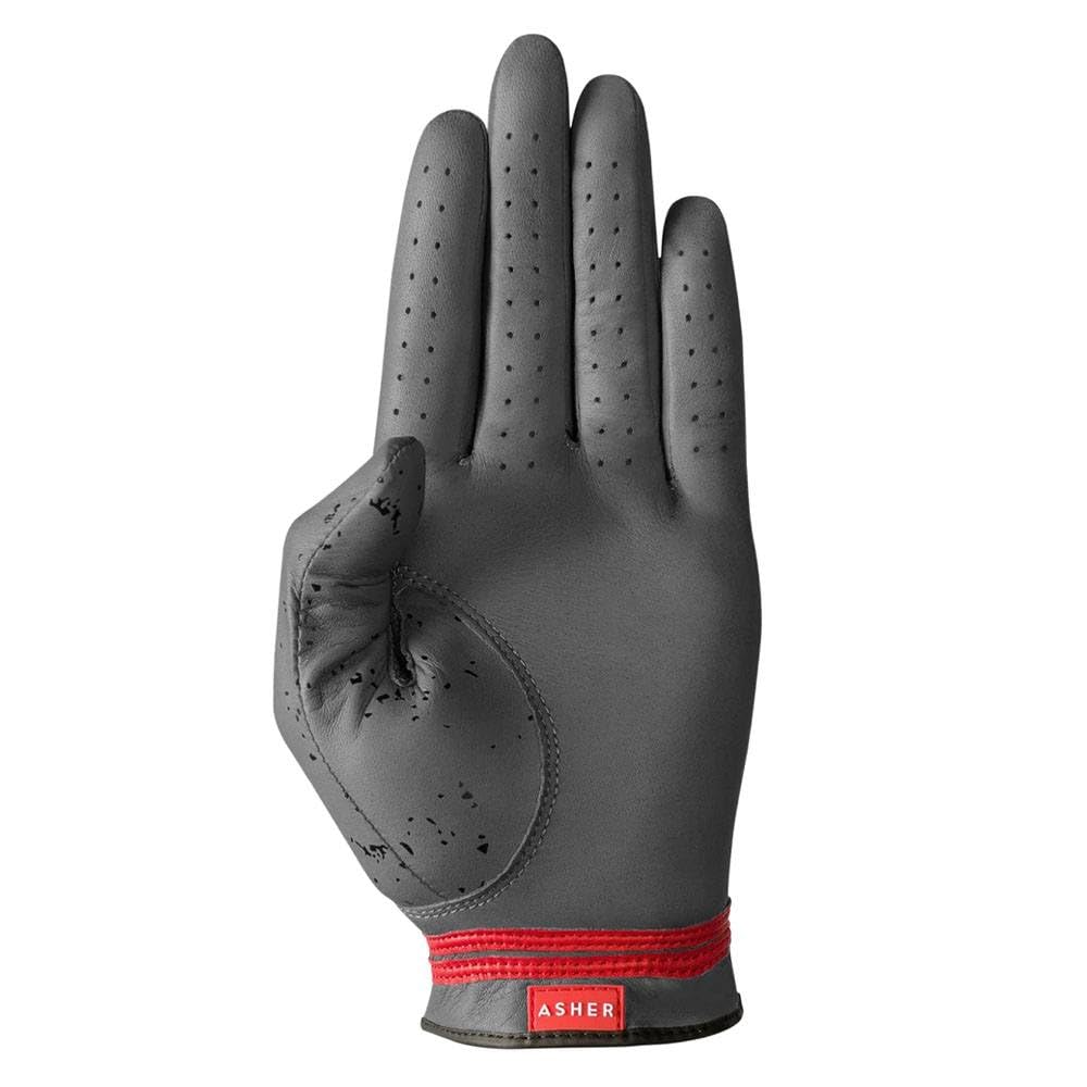 Berleng PDTXCLS TANGDIAABBCC Vicien Asher Golf Premium Collection Golf Gloves Regular Alta 2.0 LH Large