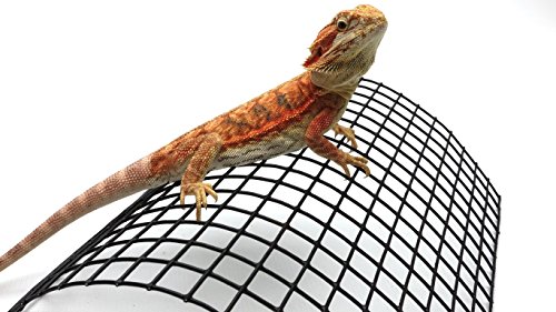 Carolina Custom Cages' Bearded Dragon Tanning Arch, Reptile Habitat Accessory