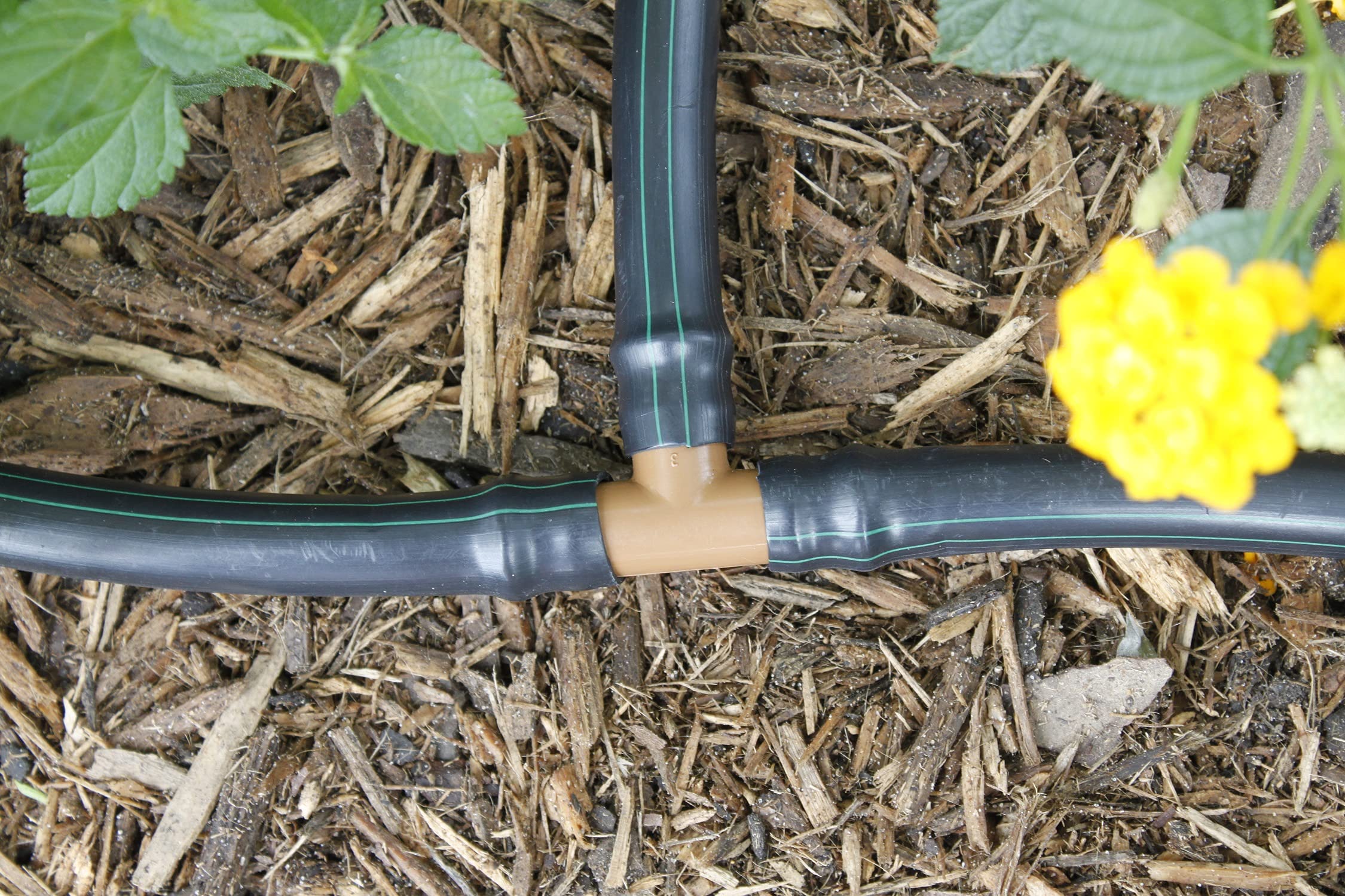 Habitech 1/2" Tee Drip Irrigation Fittings (12 Pack) - Barbed Drip Line Connector Tees compatible with Rain Bird and Most 1/2" Irrigation Tubing or Sprinkler Systems
