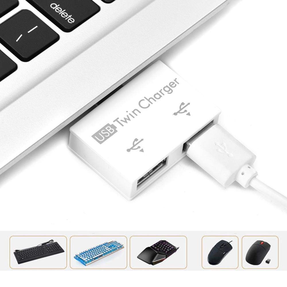 Bewinner USB2.0 Hub, Aluminum Alloy + PC Small/Portable/Rugged//Transparent Connection Adapter Converter Separator with Two USB Ports-Connected