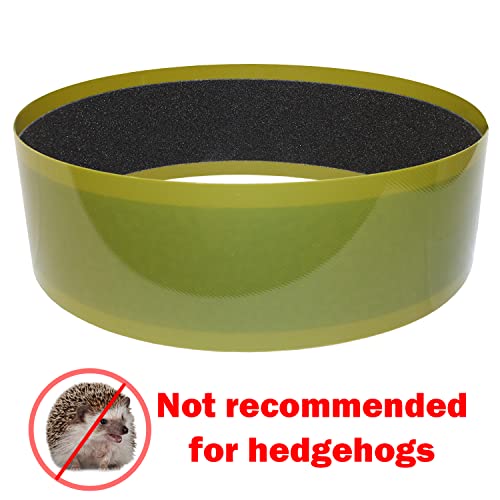 Silent Runner 12" Wide + Cage Attachment + Autoclean Track + Sandy Track - Silent, Fast, Durable Exercise Wheel - Sugar Gliders, Degus, Rats, Hedgehogs, Prairie Dogs & Small Pets