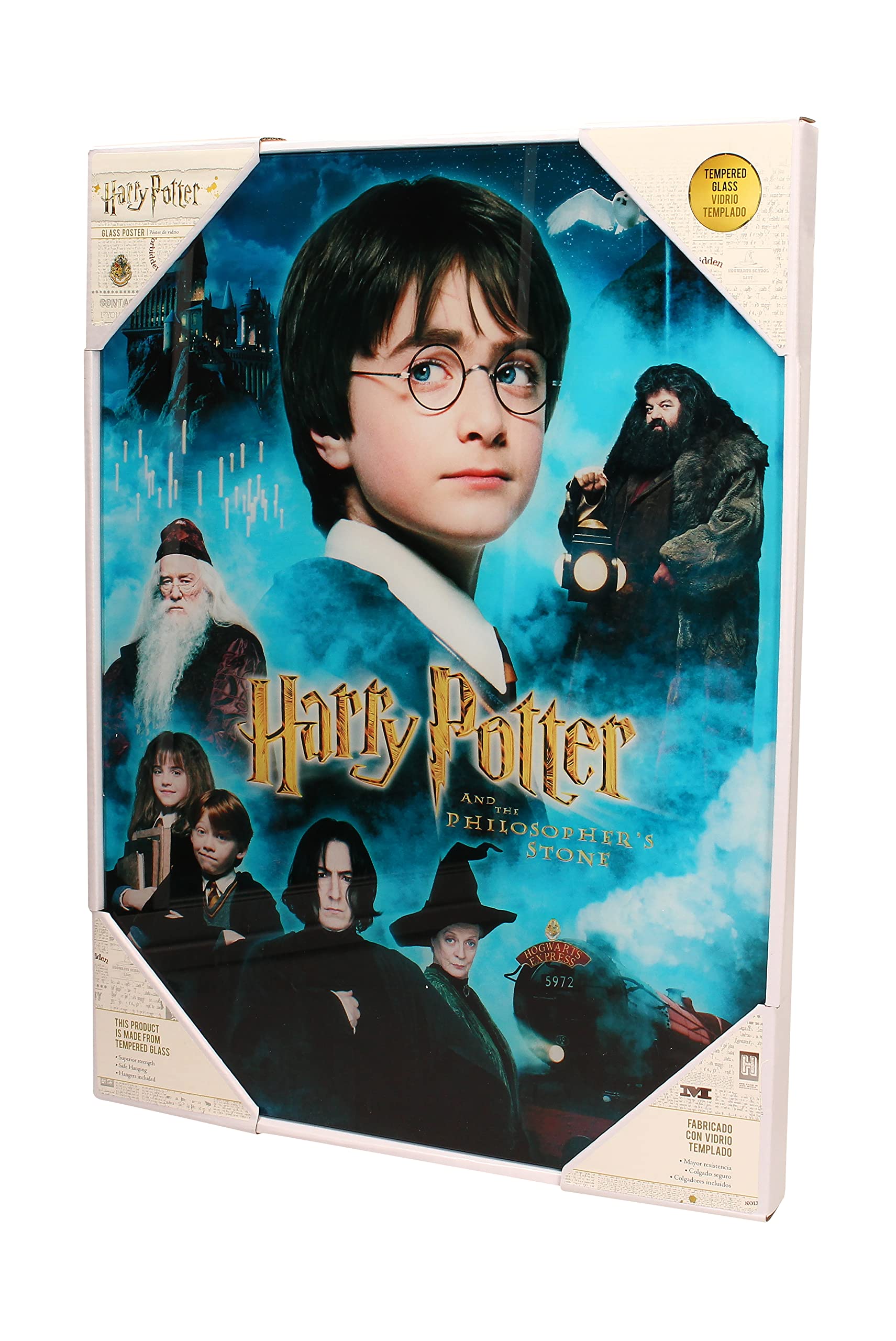 Harry Potter - Impression en Verre - Philosopher's Stone - 30X40 Cm
