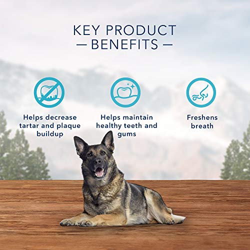 Blue Buffalo Wilderness Wild Bones Grain Free Dental Chews Dog Treats, Large 10-oz Bag