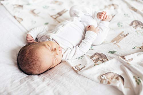 Copper Pearl Large Premium Knit Baby Swaddle Receiving Blanket Noah