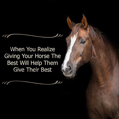 Animal Health Solutions - Equerry's Large Animal Probiotic, Digestive Aid Helping to Improve Energy and Vigor (5 pounds)