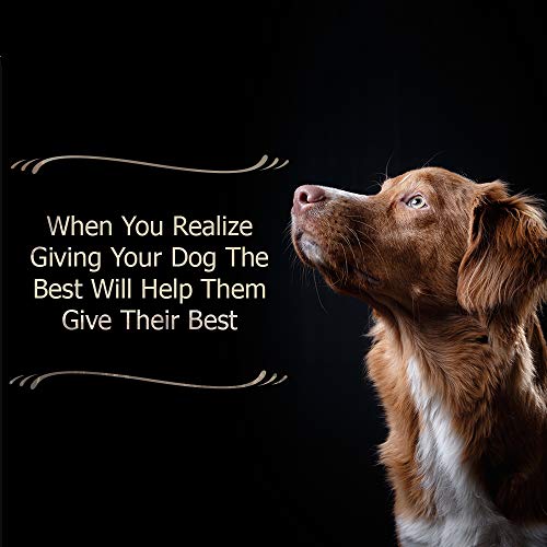 Animal Health Solutions - Spunky Level II, Joint Aid that Helps Digestion for Any Dog (1 pound)
