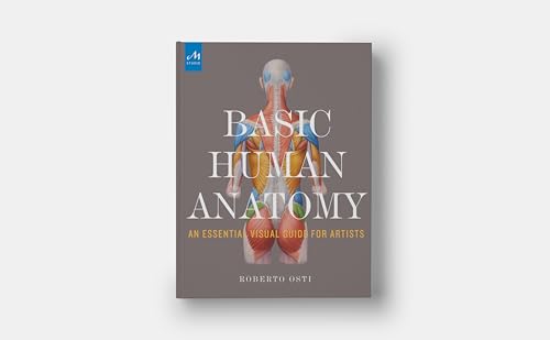 Basic Human Anatomy: An Essential Visual Guide for Artists