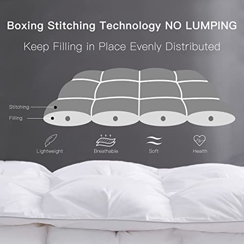 Alanzimo Luxurious 50% White Goose Down Comforter Duvet Inserts Queen Size All Season - Medium Warmth Ultra Soft 750 Fill Power White Bedding Comforter with 8 Tabs - 90x90 Pinch Pleat Design