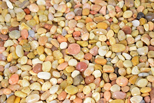 3 Lbs Large Salmon Bay Pebbles for Bonsai Tree Humidity Tray & Lucky Bamboo