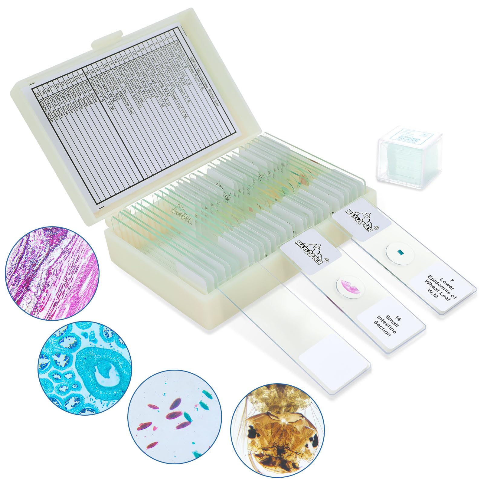 30 Microscope Slides and 100 Covers Set - 20 Prepared Microscope Slides with Specimens, 10 Blank Microscope Slides and 100 Microscope Coverslips - Microscope Slides for Kids Students Homeschool Use