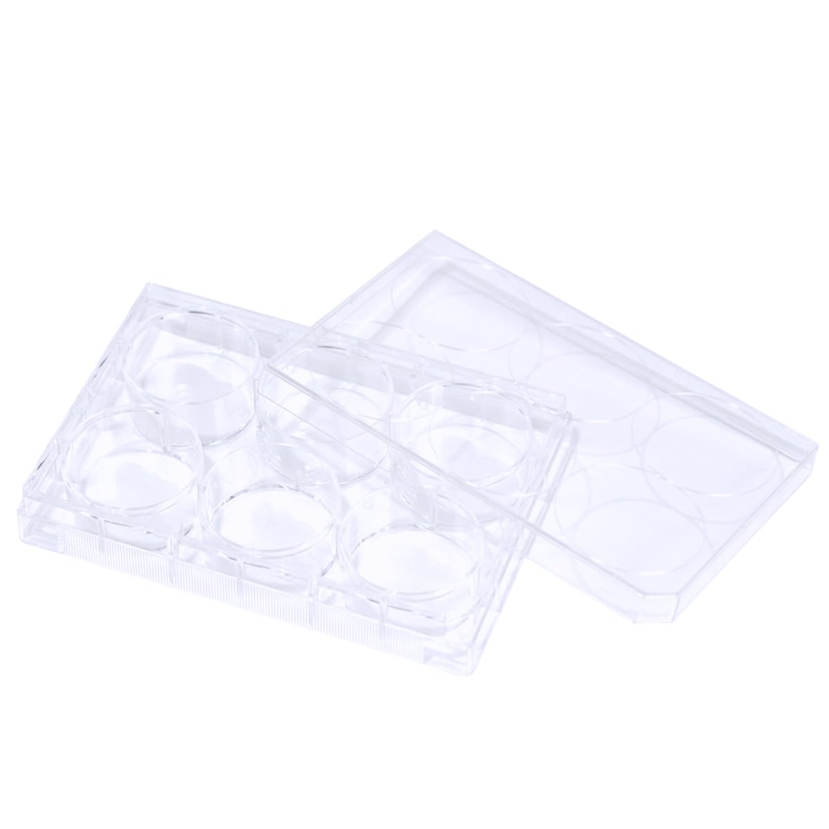 BIPEE Polystyrene Petri Dish 6 Well Cell Culture Plate, Sterile, Pack of 10