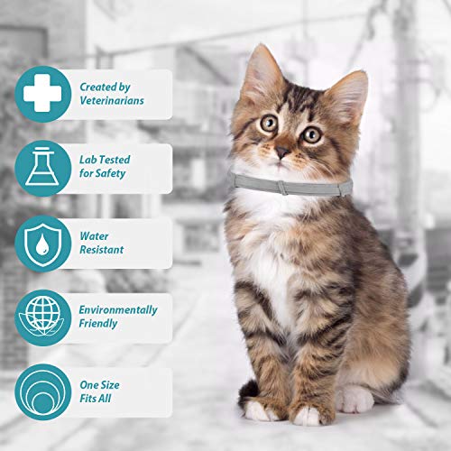 Flea and Tick Collar for Cats,8 Month Flea and Tick Treatment and Prevention for All Sizs Cats,Adjustable and Waterproof,100% Natural Ingredients,Include Tick Removal Tools,2 Pack