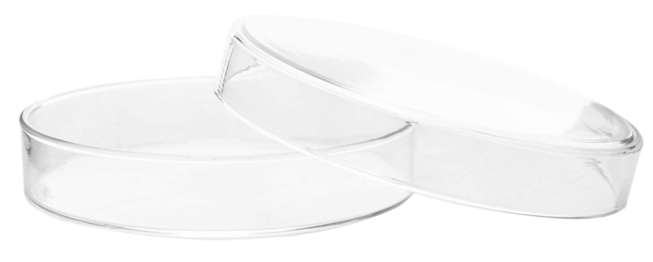 EISCO Petri Dish - 90 x 15mm - Soda Glass