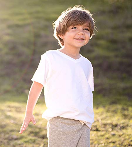 Burt's Bees Baby Boys Tees, Short Long Sleeve V-neck Crew Infant Top, 100% Cotton And Toddler T-Shirt Set, Multi 3-pack, 18 Months US