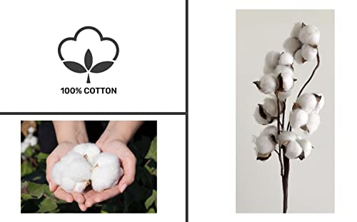 Baby Blank Receiving Blanket, 100% Cotton Fabric for 1-Pack _ Black (30 x 40 Inches / 100% Cotton Interlock)