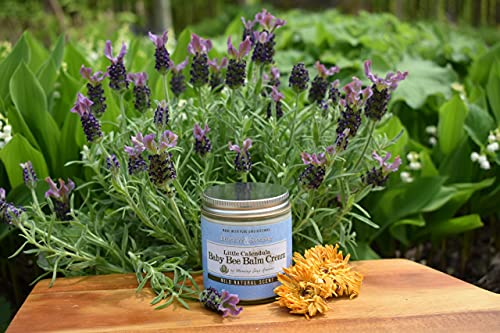 Baby Mild Lavender Bee Cream- "Little Calendula" 4 oz