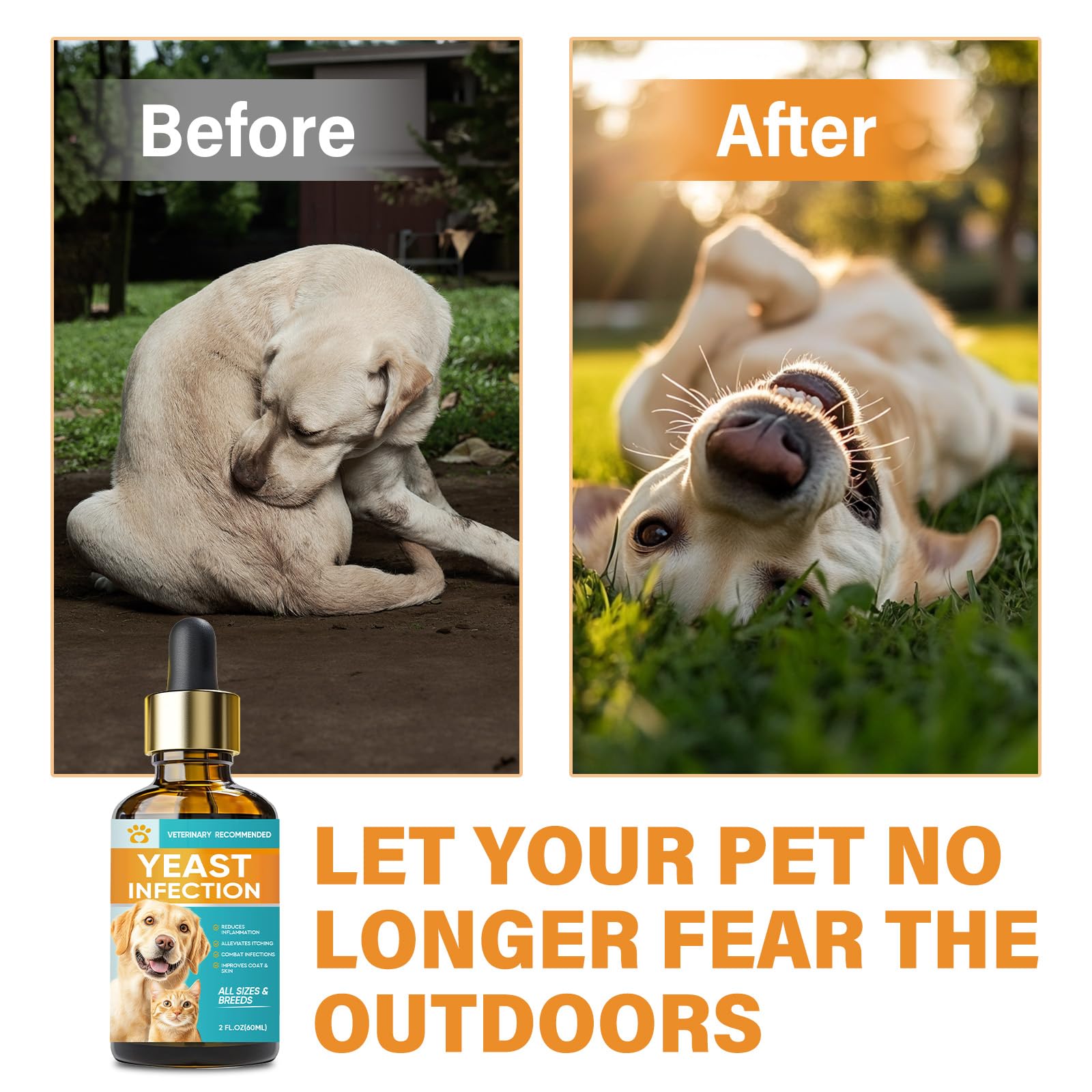 Yeast Infection Treatment for Dogs, Natural Dog Ear Infection Treatment, Support Allergy, Inflammation and Itch Relief