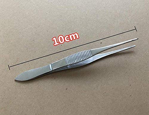 2 PCS 4 Inch Professional Stainless Steel Dental Straight Forceps and Curved Tip Tweezers Multifunction Eyebrow Cosmetic Tools DIY Accessories Extractor Clamp