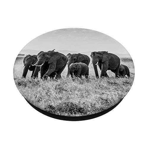 Elephants PopSockets PopGrip: Swappable Grip for Phones & Tablets