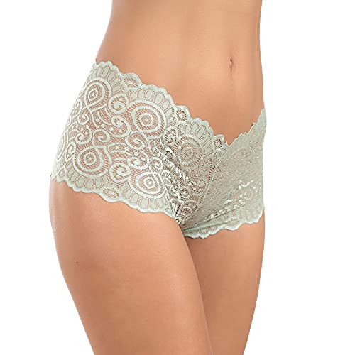 Alyce Intimates Pack of 10 Womens Lace Boyshort Panty, Regular to Plus Size