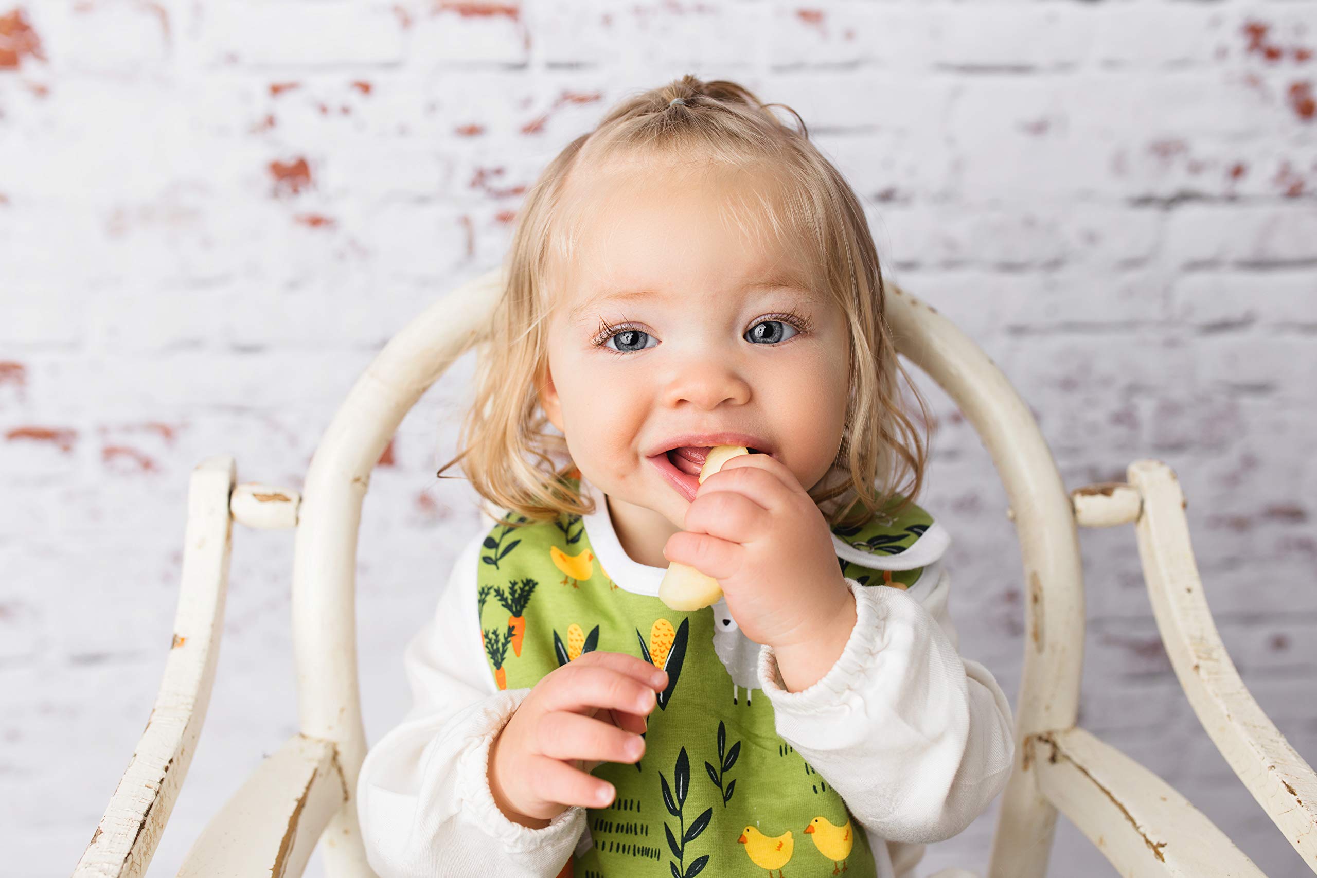 KUDL Baby Bib Large Toddler Burpy Absorbent Feeding Reflux Drool Teething Snap Button (Farm)