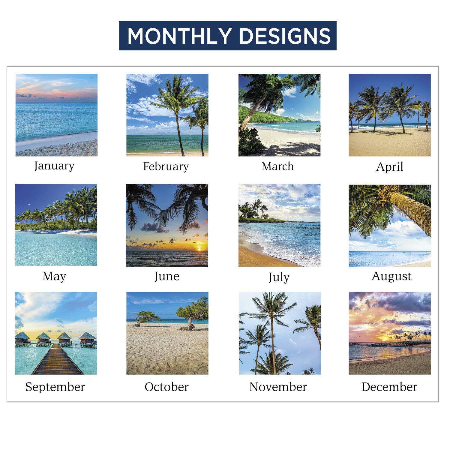 2022 Wall Calendar by AT-A-GLANCE, 15" x 12", Medium, Monthly, Tropical Escape (DMWTE828)