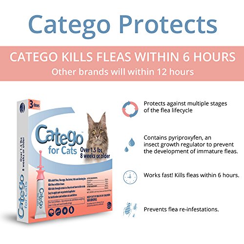 Catego Fast-Acting Flea and Tick Treatment For Cats/Kittens (Over 1.5 lbs) Kills Fleas Within 6 Hours, Prevents Flea Re-Infestations