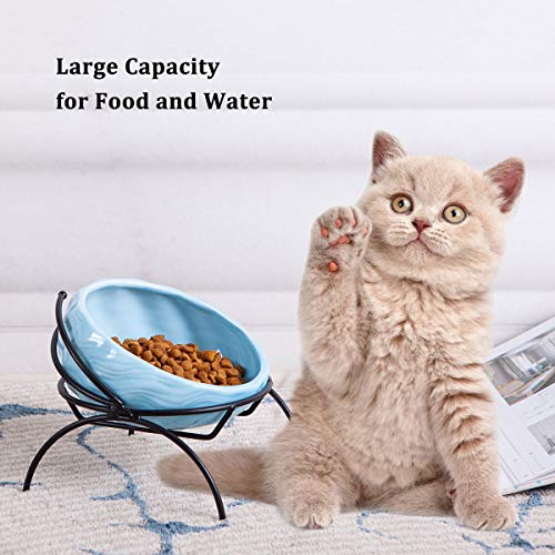 Jemirry Ceramic Elevated Cat Bowl Anti Vomiting, 15° Tilted Food and Water Cat Bowl Set, Raised Pet Bowl with Non-Slip Stand for Cat and Dog, Protect Pet's Spine, Microwave Dishwasher Safe, Sky Blue