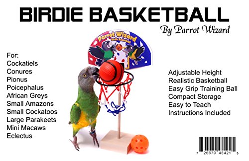 Birdie Basketball - Adjustable Height Parrot Basketball Trick Prop