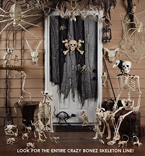 Crazy Bonez Pose-N-Stay Skeleton