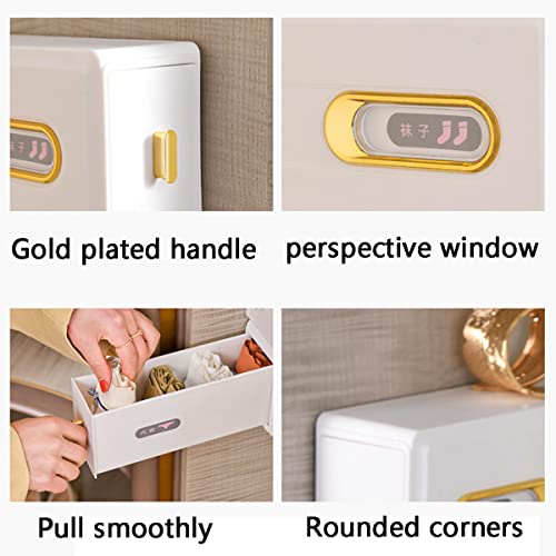 ACGrade Underwear Organizer,Wardrobe Wall Mounted Sock and Underwear Organizer,Closet Organizers,Underwear Organizer for Women(4pcs),38*8*12cm