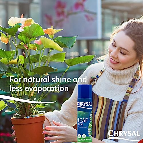 Chrysal Leaf Shine Spray for Indoor Plants β Flower Arrangement Spray for Flower Bouquets, House Plants, & More β Environmentally Safe Plant Cleaner Removes Dust β Flower & Gardening Supplies 5.6 Oz