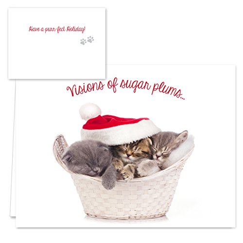 Christmas Cats Holiday Card Assortment Pack / 25 Seasonal Kitten Greeting Cards And Envelopes / 5 Sleeping Santa Animal Designs And Christmas Messages