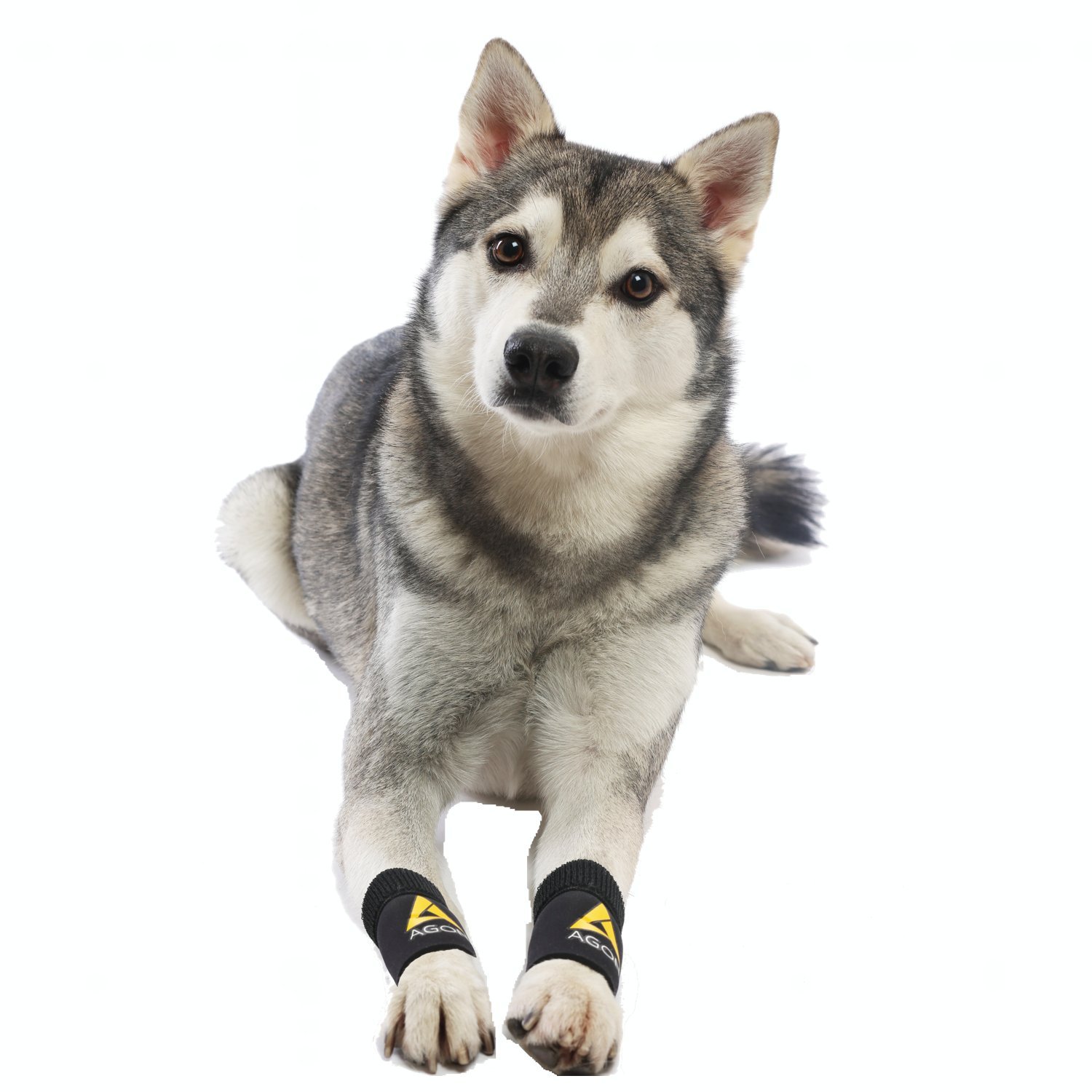 AGON® Pair Dog Canine Front Leg Brace Paw Compression Wraps with Protects Wounds Brace Heals and Prevents Injuries and Sprains Helps with Loss of Stability Caused by Arthritis (Large/X-Large)