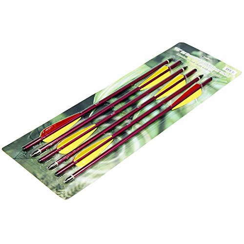 175 lb Black Hunting Crossbow Archery Bow +8 Arrows/Bolts +Rail Lube +Stringer 180 150 80 50 lbs
