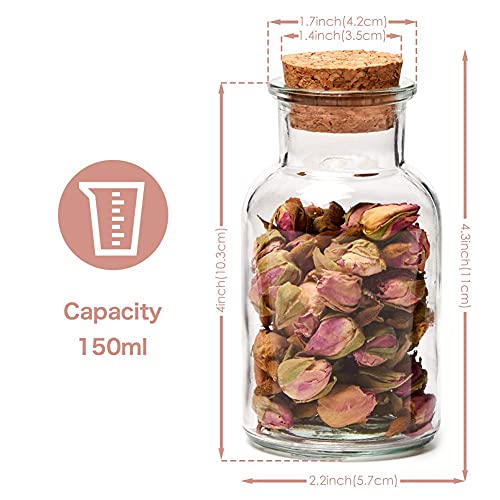 EZOWare 20pc Spice Jars, 5oz Bottle Clear Glass Canister Set with Cork Lid, Round Decorative Reusable Vial Storage Containers for Herbs, Teas, Seasonings, Party Favors, Candy (150ml)