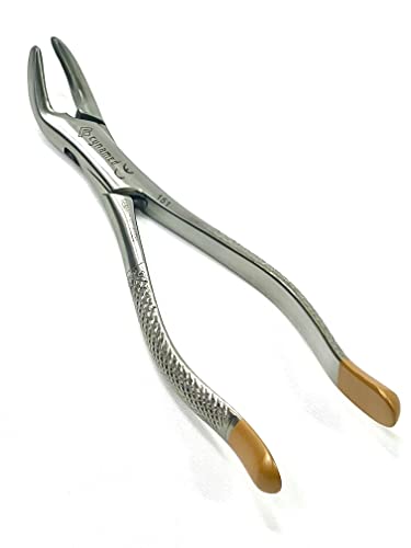 German Dental Extracting Forceps #151-Lower Bicuspid, Lower Incisor, Lower Root, Universal Extraction Forceps Dental Instruments -Cynamed
