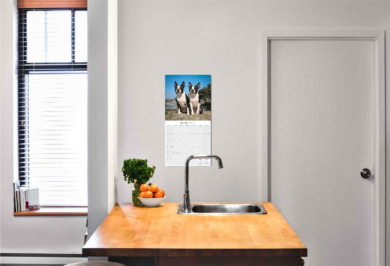 2023 2024 Boston Terrier Calendar - Dog Breed Monthly Wall Calendar - 12 x 24 Open - Thick No-Bleed Paper - Giftable - Academic Teacher's Planner Calendar Organizing & Planning - Made in USA