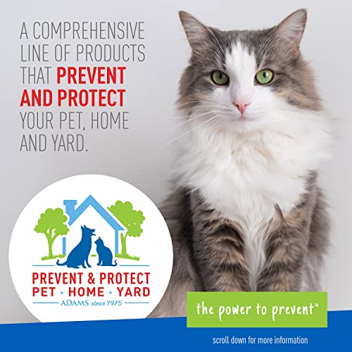 Adams Plus Flea & Tick Foaming Shampoo & Wash for Cats & Kittens Over 12 Weeks | Sensitive Skin Flea Treatment for Cats and Kittens | Kills Adult Fleas, Ticks, and Lice On Contact | 10 Oz