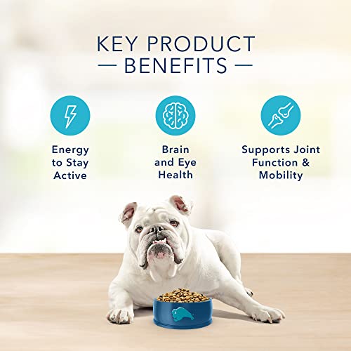 Blue Buffalo Basics Skin & Stomach Care, Natural Senior Dry Dog Food, Turkey & Potato 24-lb